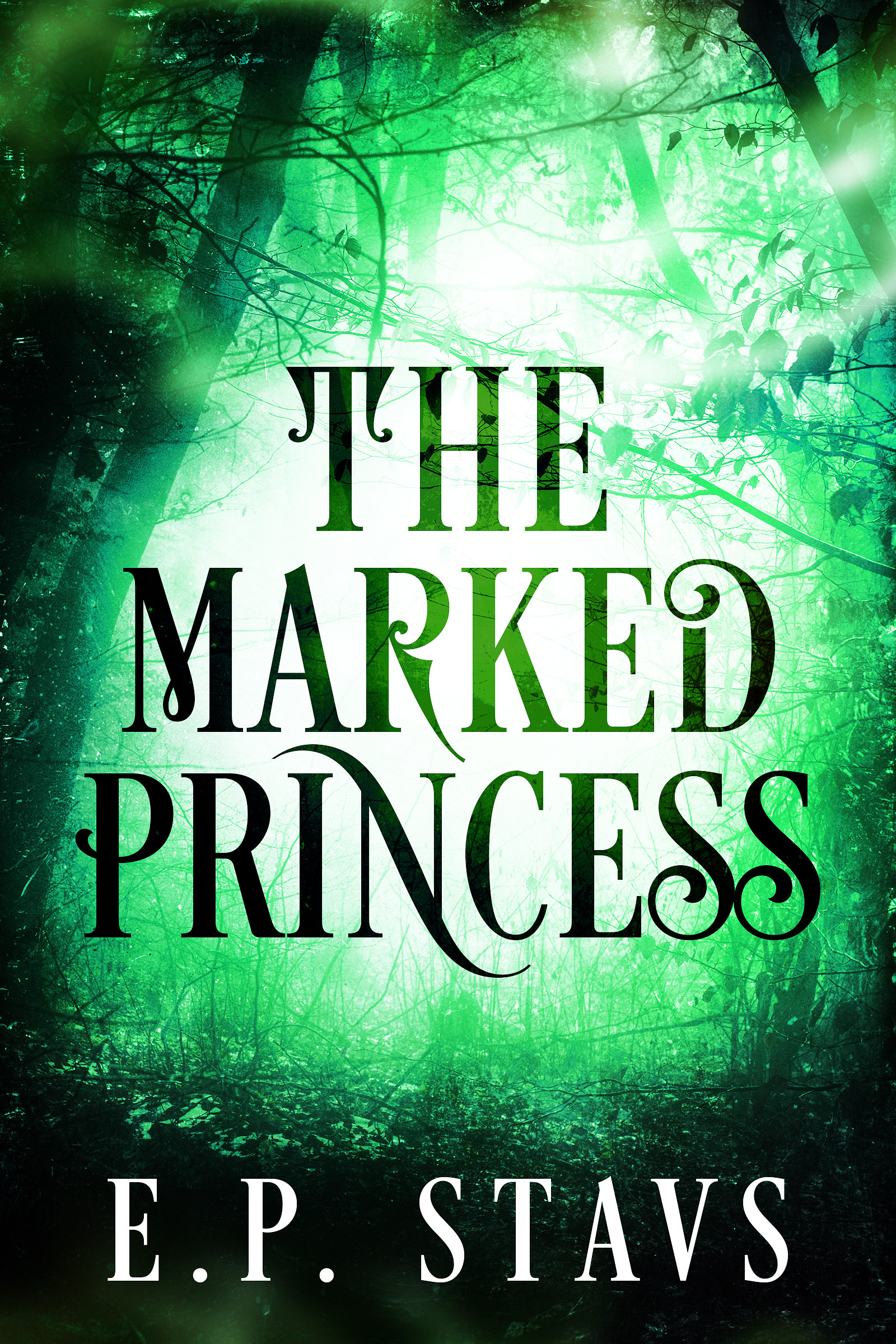 The Marked Princess: Book One of the Shendri Series – E.P. Stavs